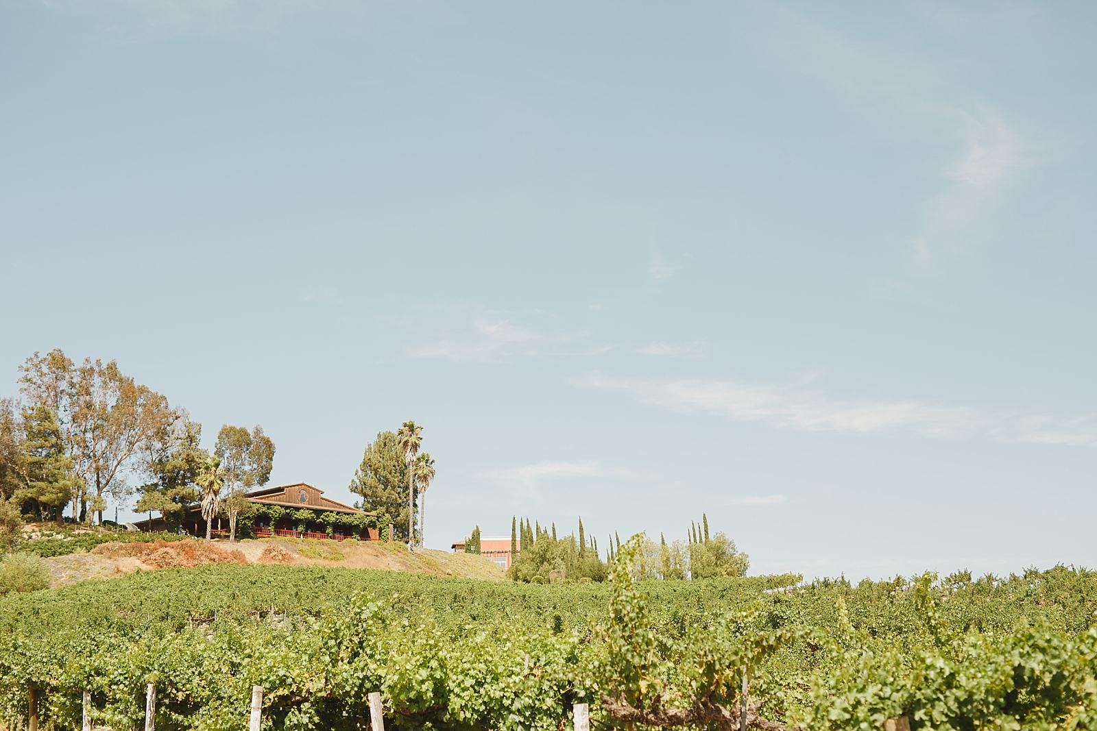 Falkner Winery Wedding Photos - Kristen Booth Photography